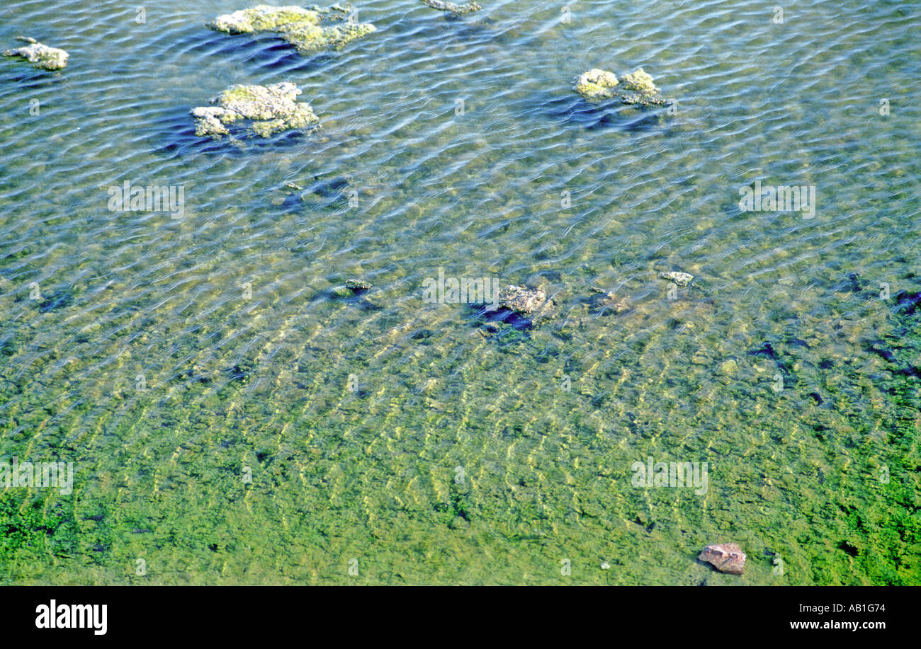 Salination hi-res stock photography and images - Alamy