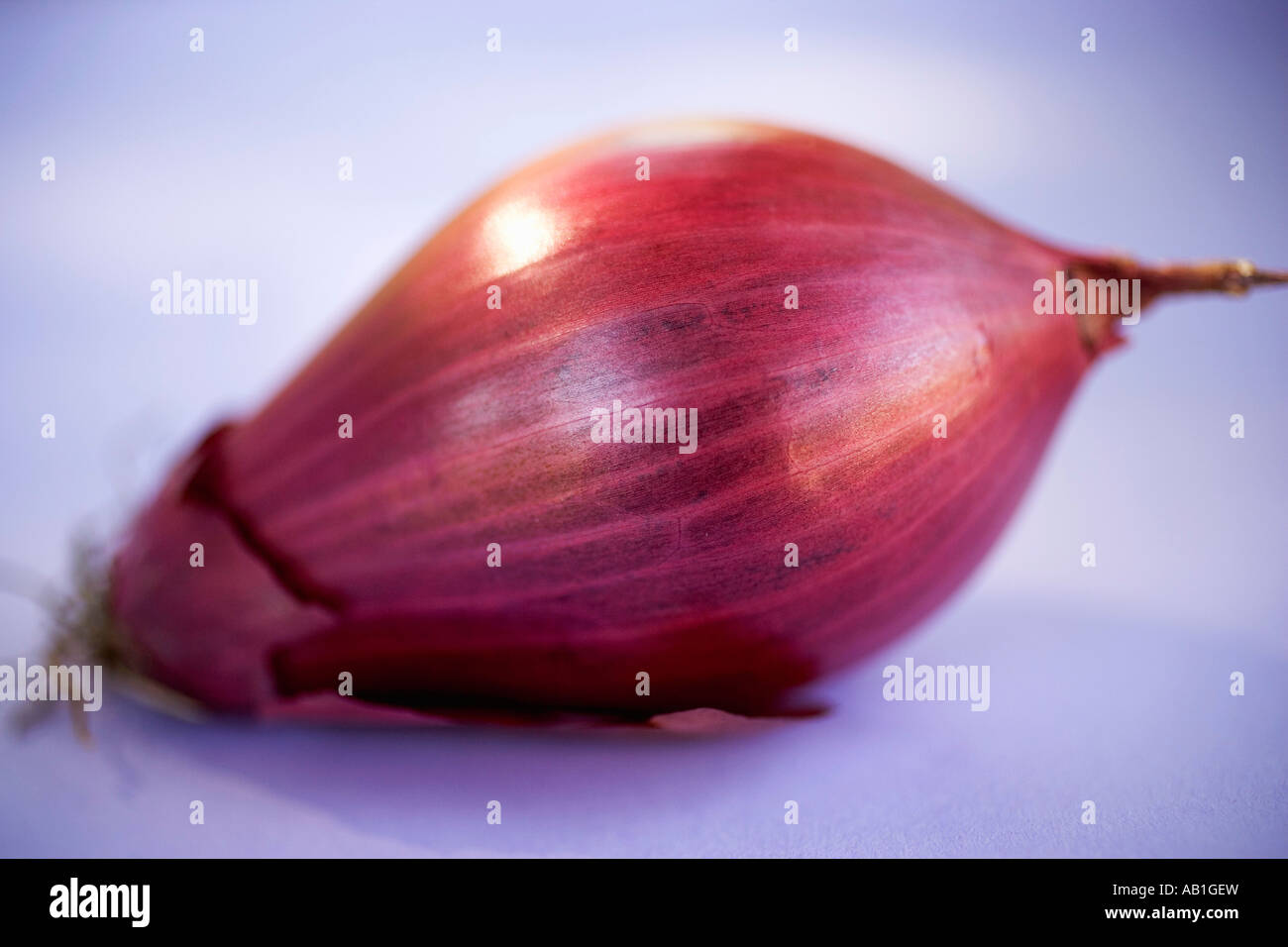 Red onion FoodCollection Stock Photo - Alamy
