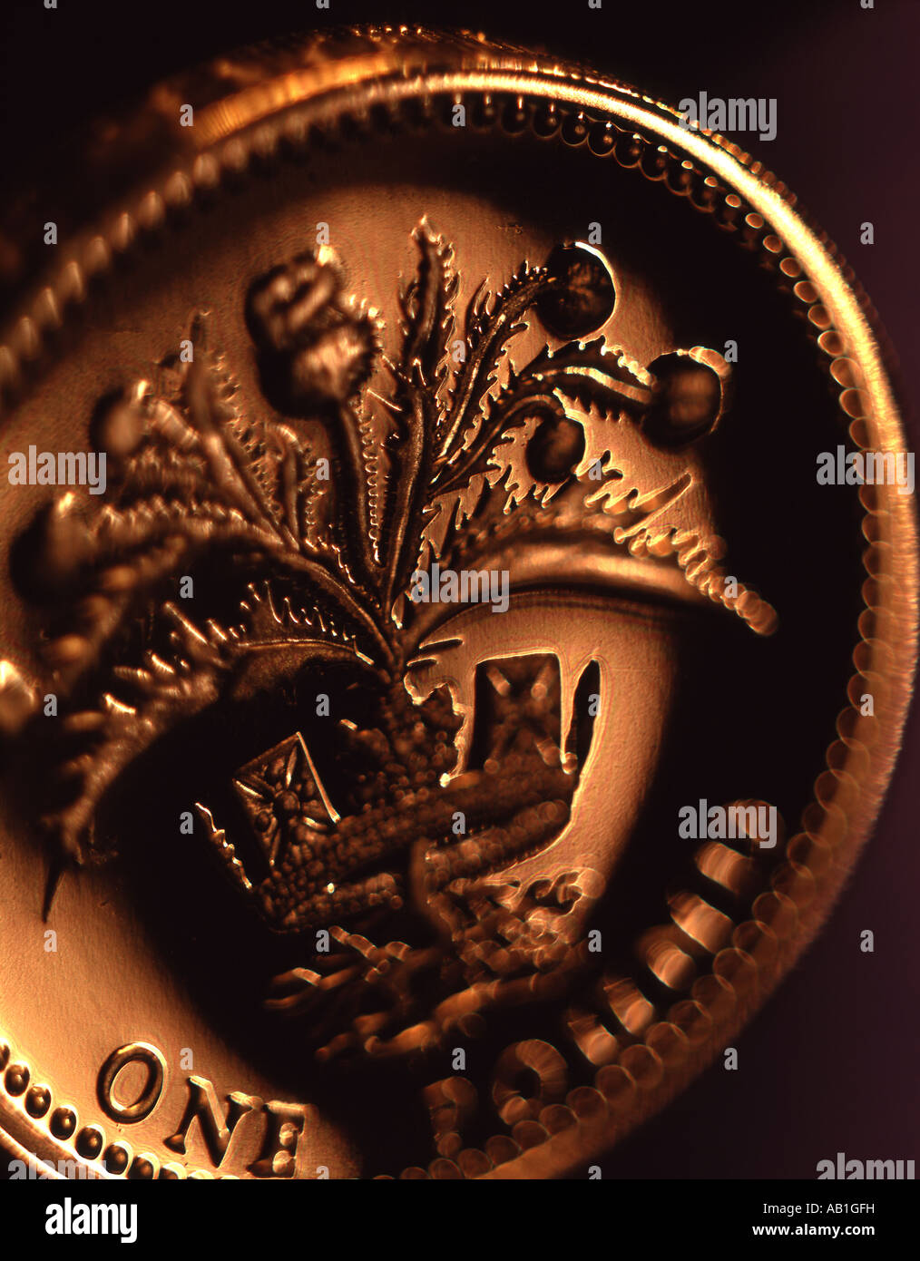 Scottish pound coin detail with thistle and crown close up Stock Photo ...
