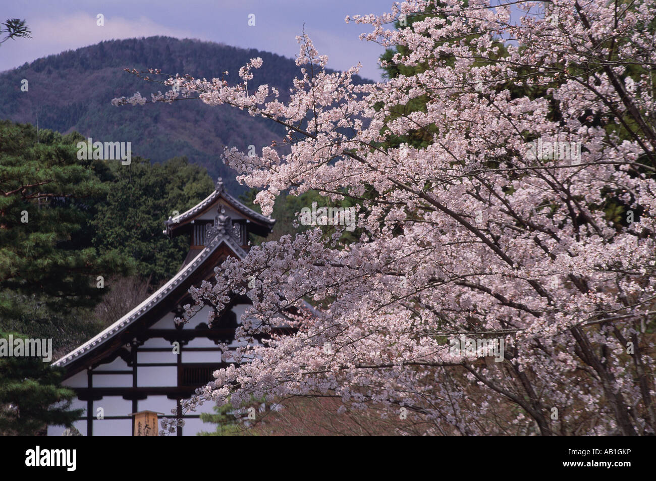 Tenryu ji Temple Kyoto Prefecture Japan Stock Photo - Alamy