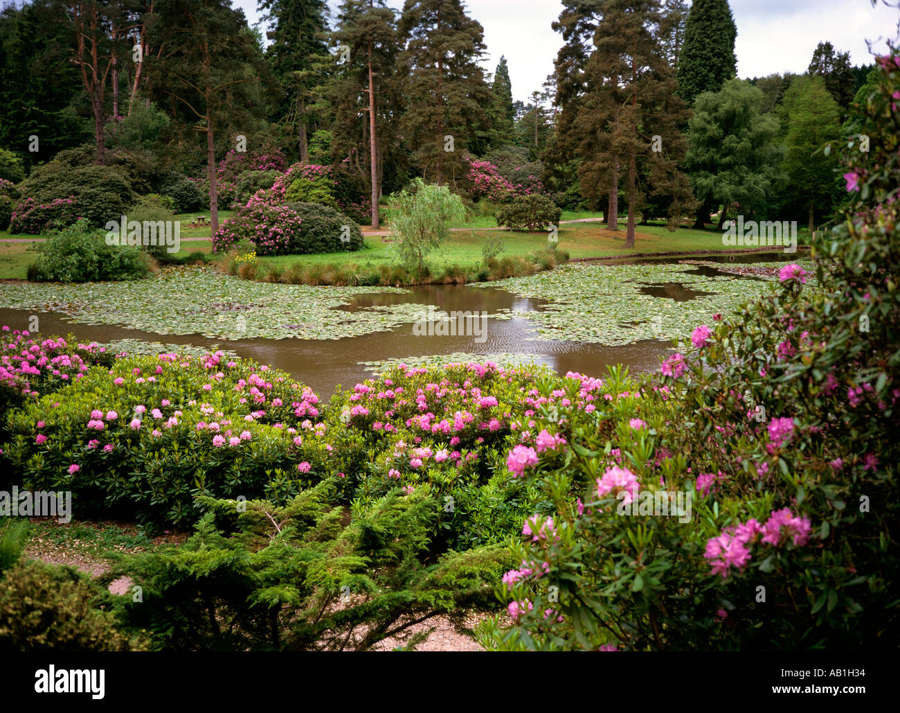 Weald of kent tree hi-res stock photography and images - Alamy