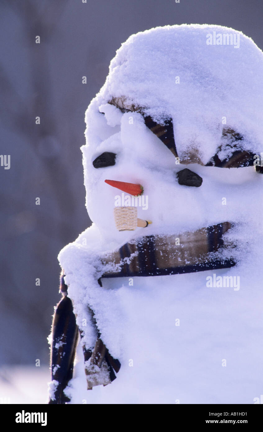 Snowman in winter Smithers British Columbia Stock Photo - Alamy