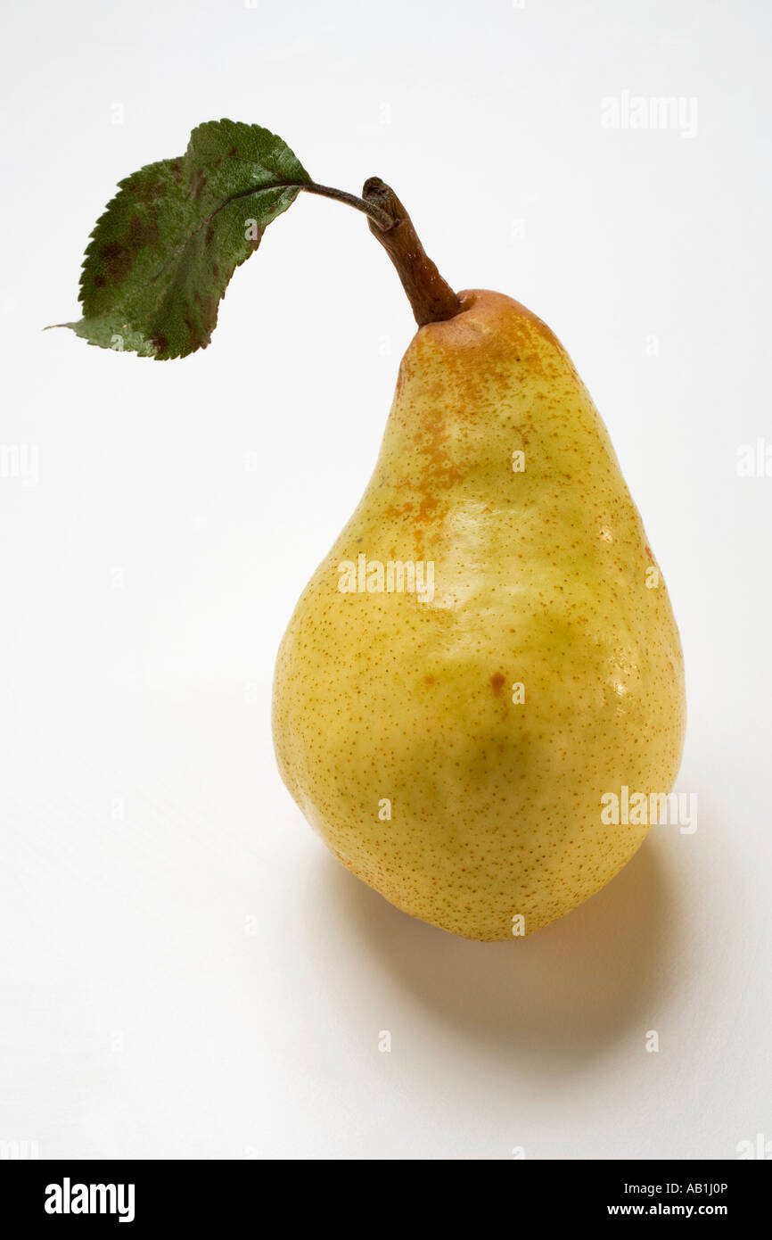 Williams pear with leaf FoodCollection Stock Photo - Alamy