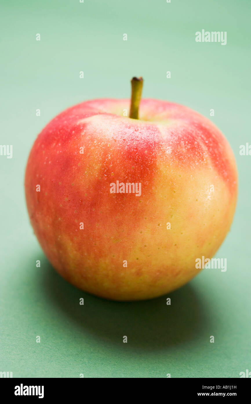 Variety elstar hi-res stock photography and images - Alamy