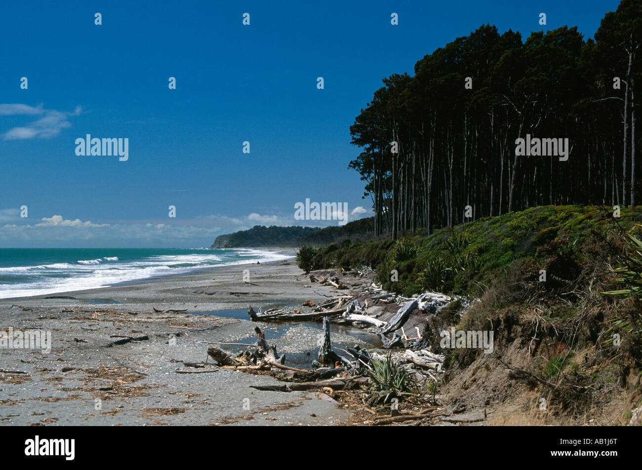 Bruce Bay New Zealand Stock Photo - Alamy