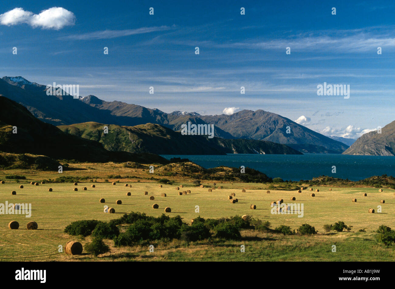 Hay making new zealand hi-res stock photography and images - Alamy