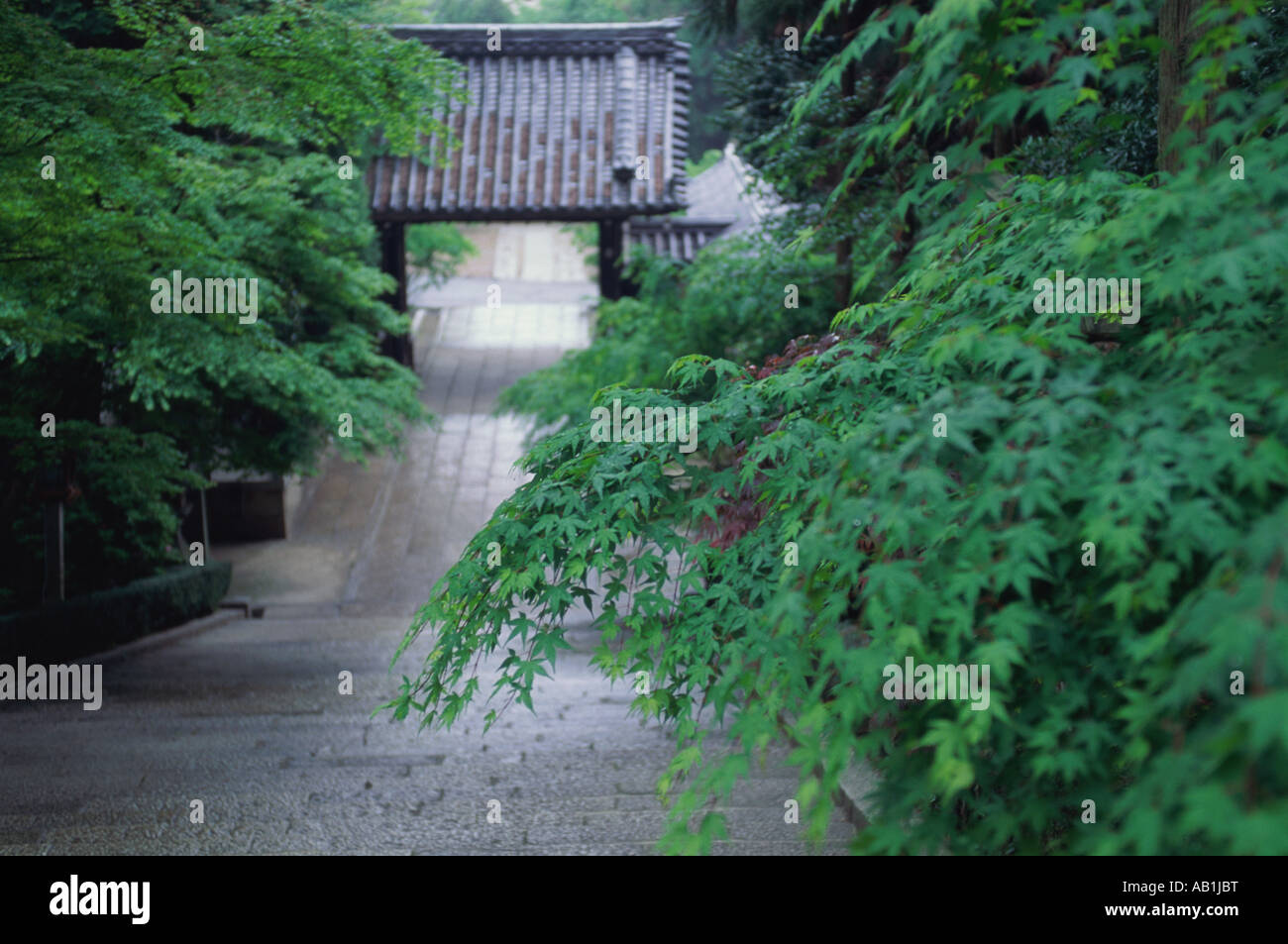 Horin ji Temple Kyoto Prefecture Japan Stock Photo - Alamy