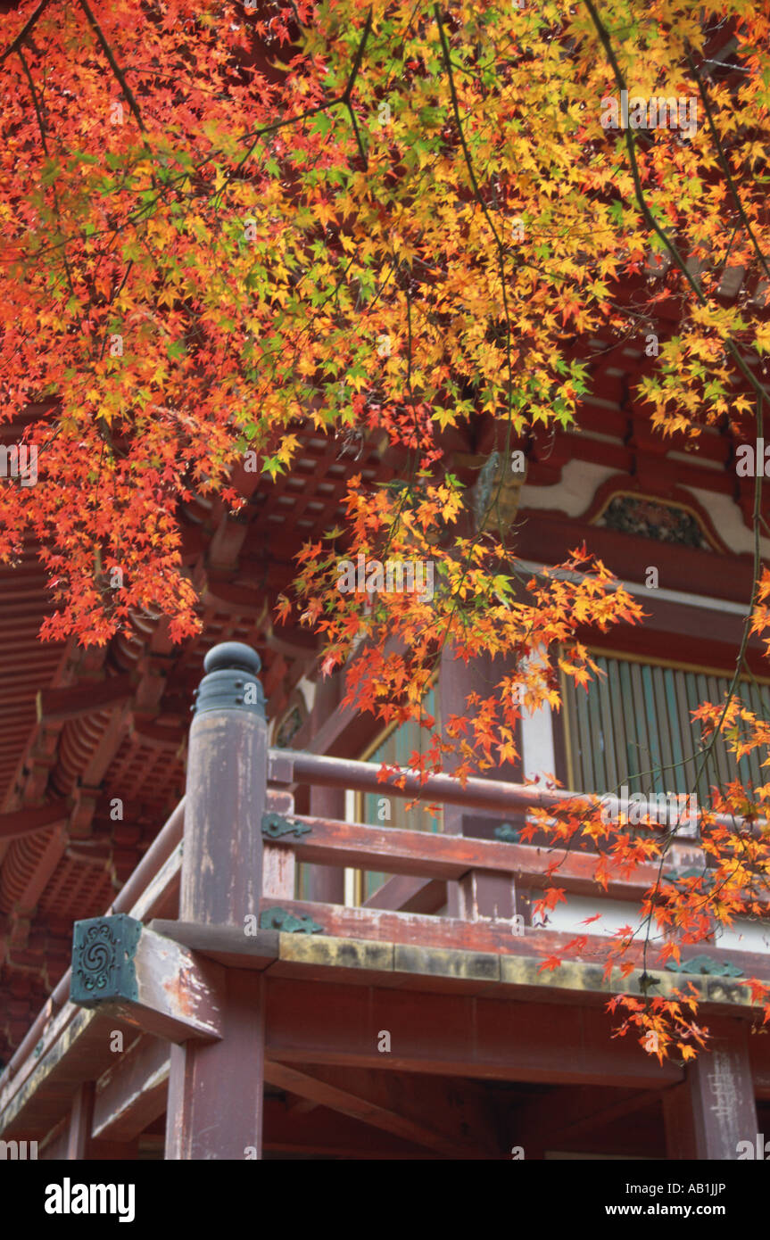 Jingo ji Temple Kyoto Prefecture Japan Stock Photo - Alamy