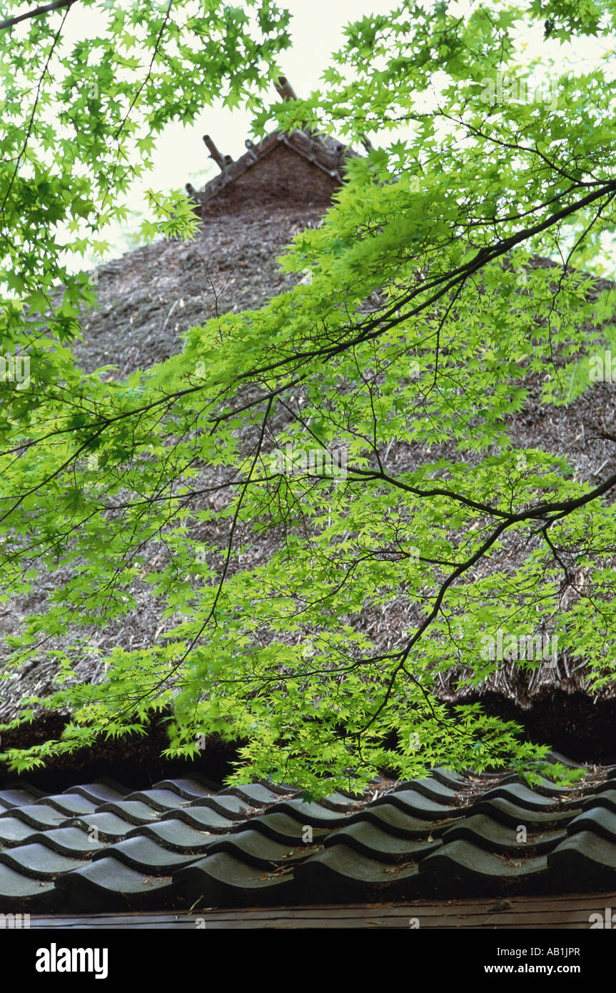Gio ji Temple Kyoto Prefecture Japan Stock Photo - Alamy Gio ji Temple Kyoto Prefecture Japan Stock Photo - Alamy