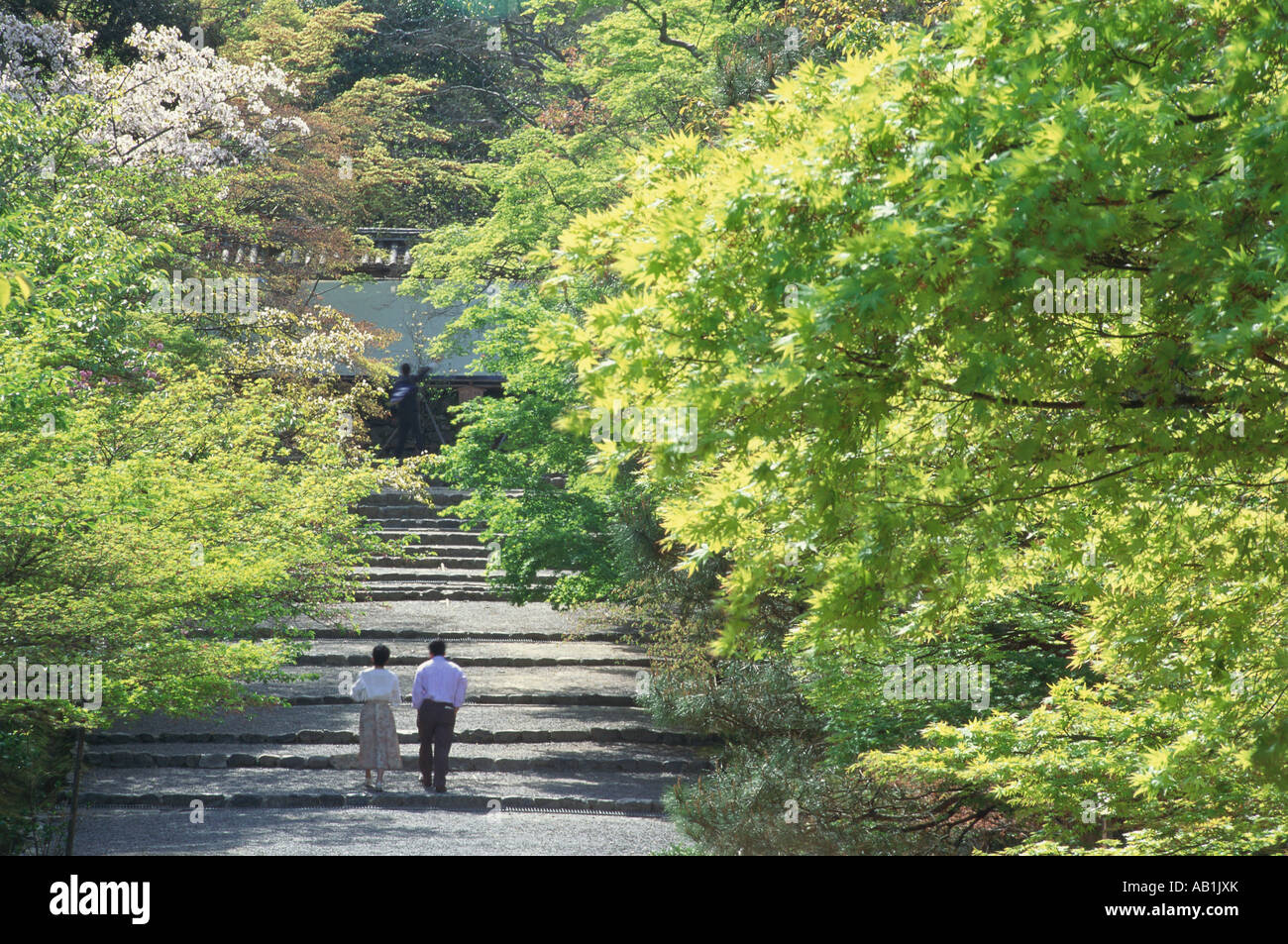 Nison in hi-res stock photography and images - Alamy