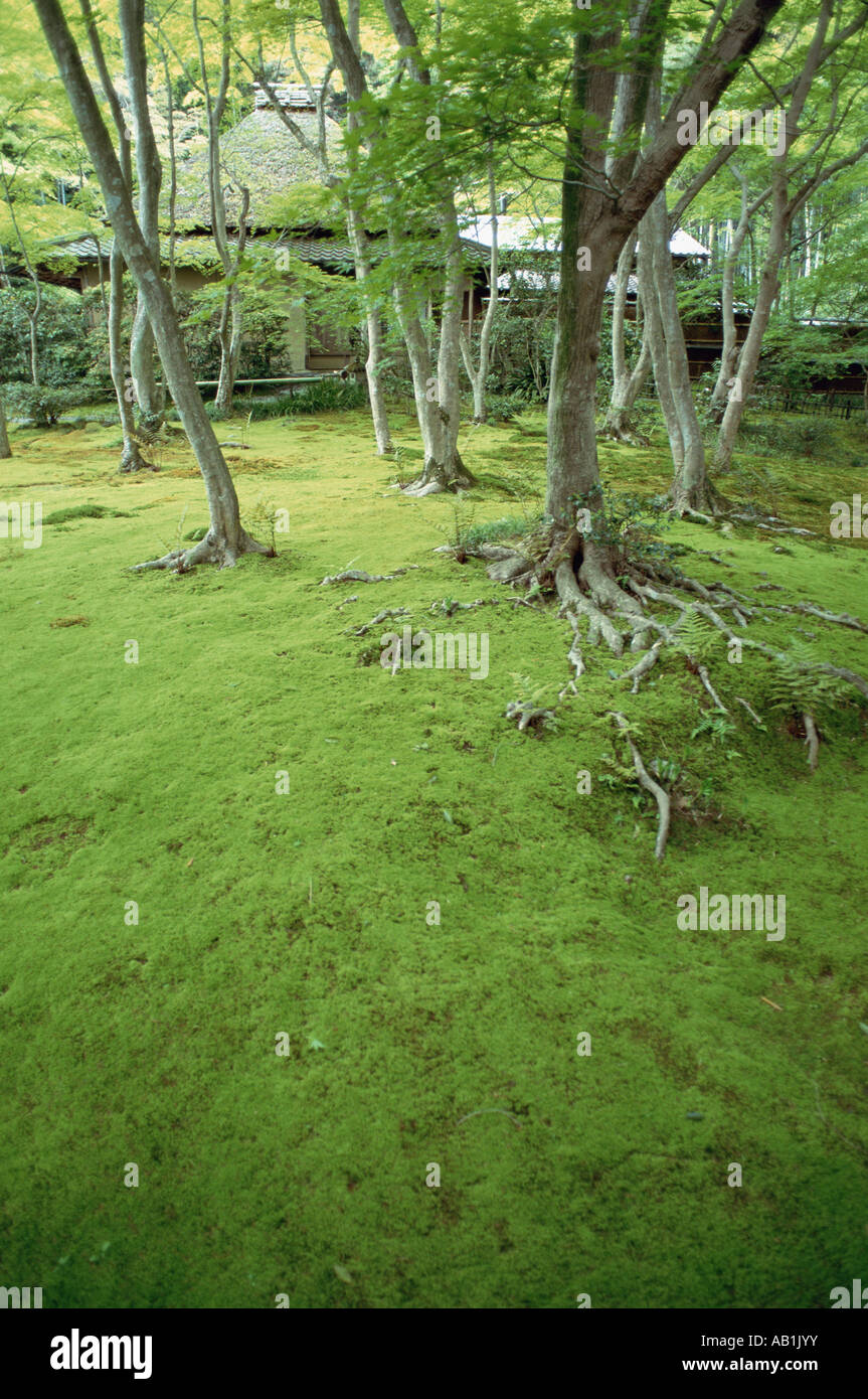 Gio ji Temple Kyoto Prefecture Japan Stock Photo - Alamy Gio ji Temple Kyoto Prefecture Japan Stock Photo - Alamy