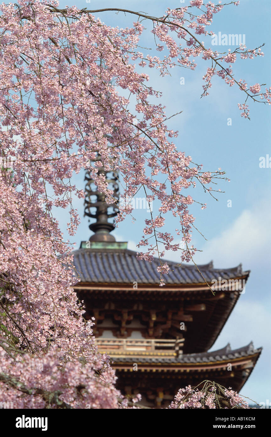 Daigo ji Temple Kyoto Prefecture Japan Stock Photo - Alamy