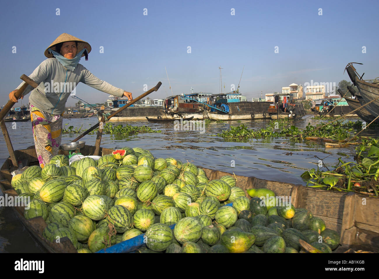 Woman in conical hat rows boat of water melons Cai Ran floating market ...