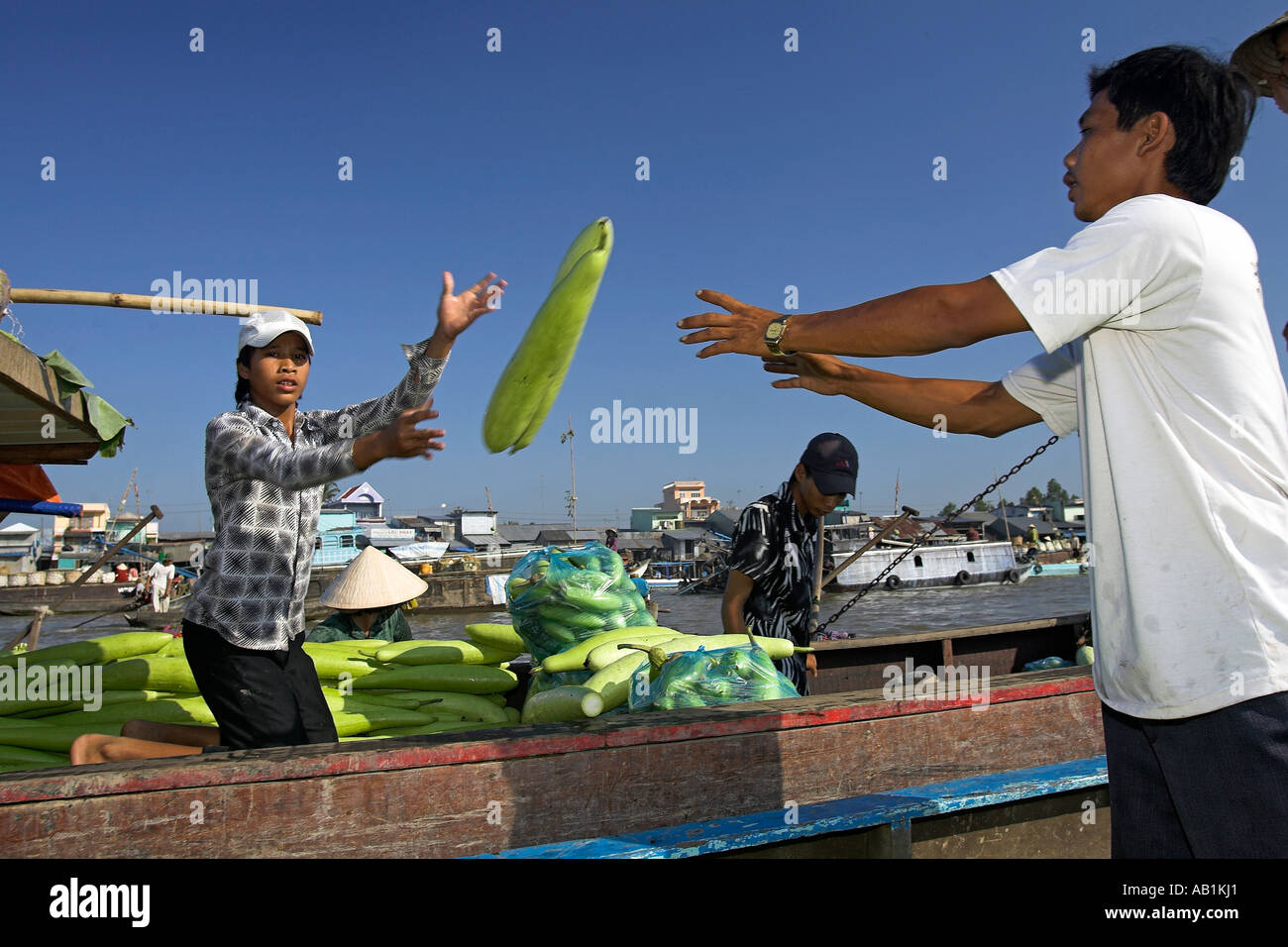 Young man throwing winter melons boat to boat Cai Ran floating market ...