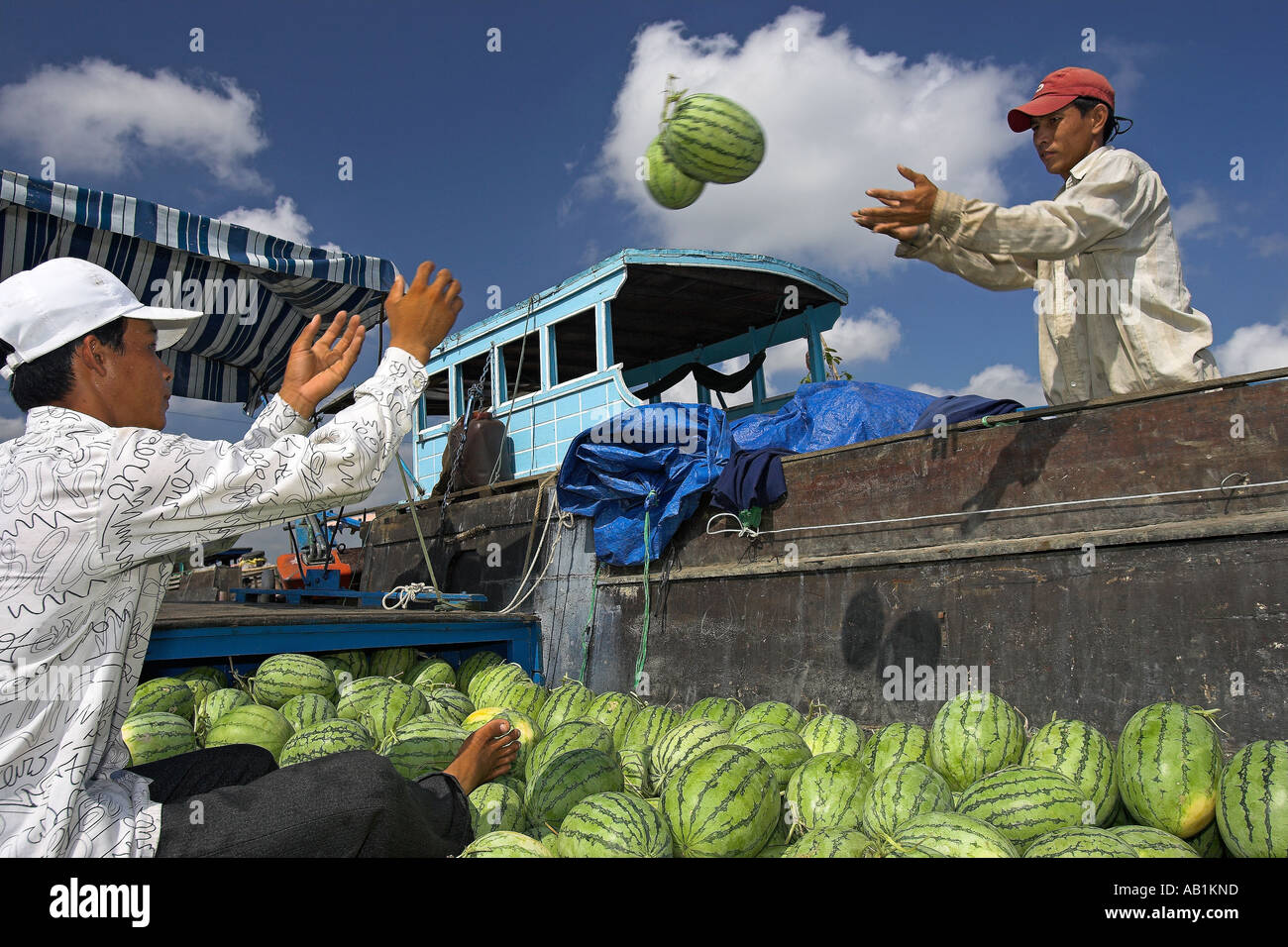 Young man throwing melons boat to boat Cai Ran floating market near Can ...