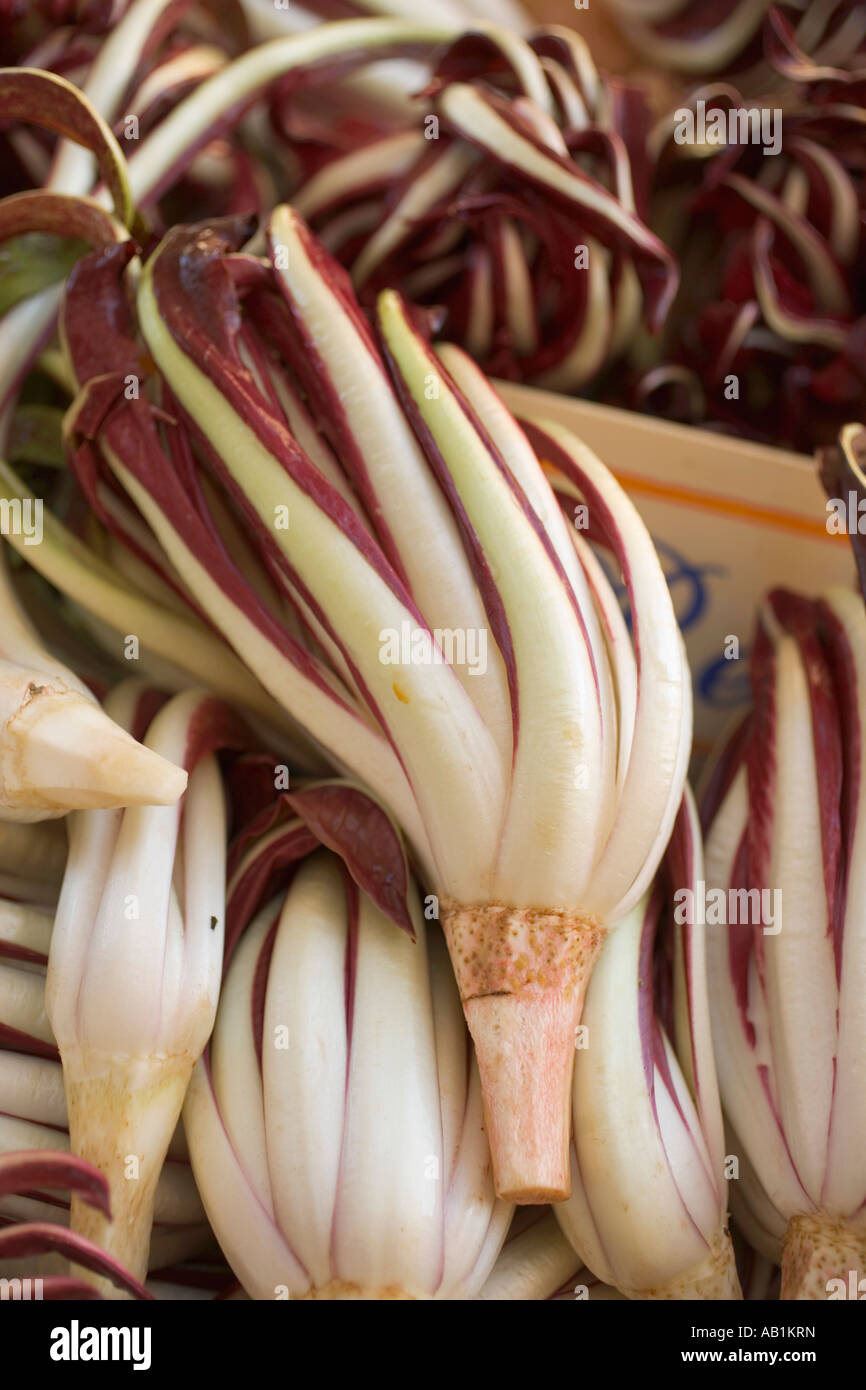 Radicchio di Treviso in crates detail FoodCollection Stock Photo - Alamy