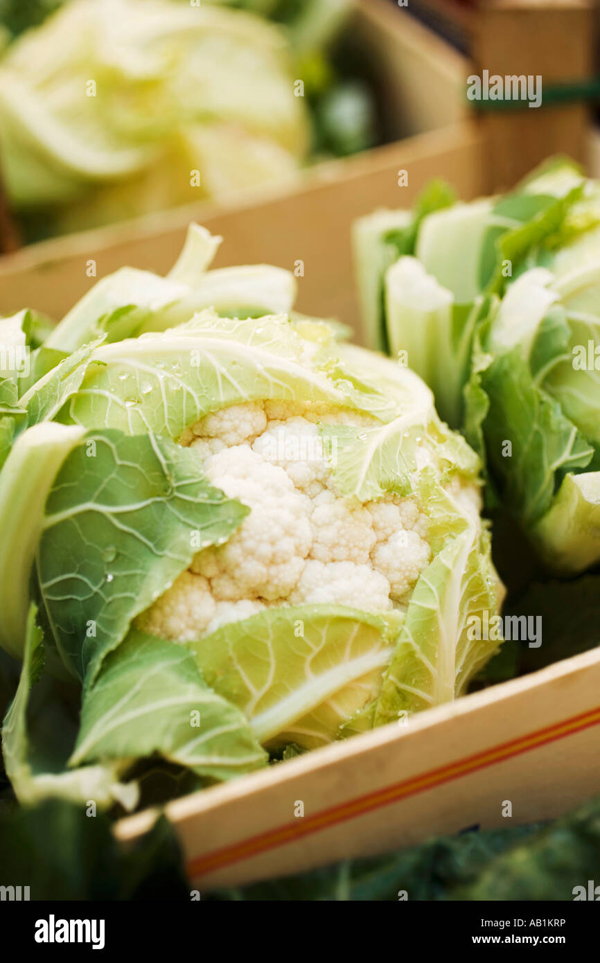 Cauliflowers in crates FoodCollection Stock Photo - Alamy