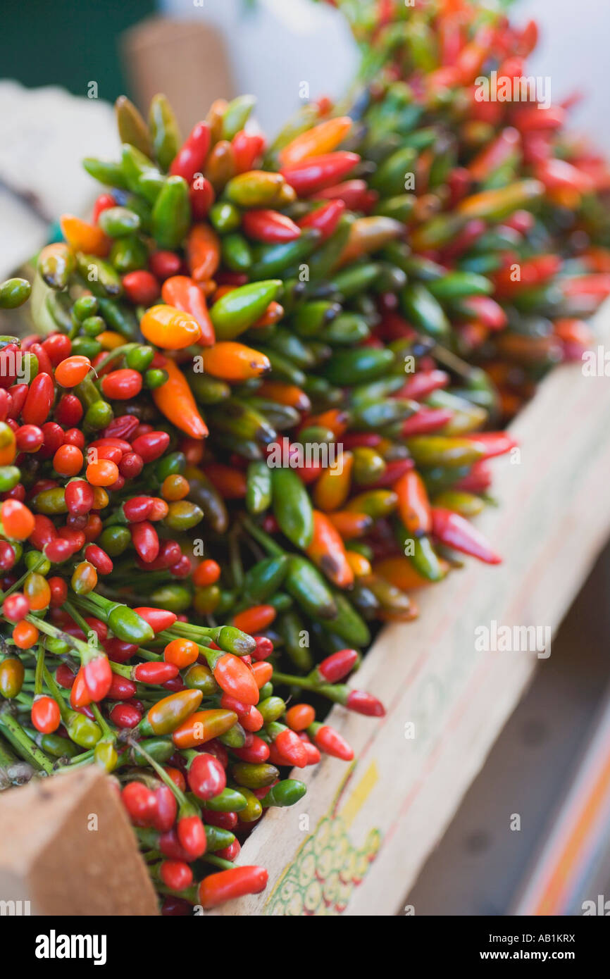 Green and red chillies in crate FoodCollection Stock Photo - Alamy