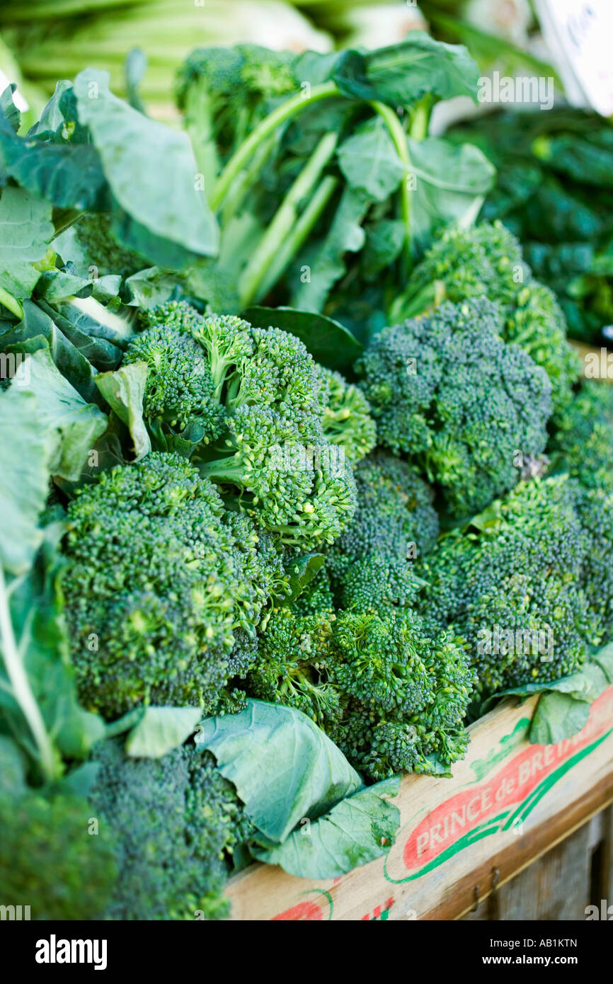 Fresh broccoli in crate FoodCollection Stock Photo - Alamy