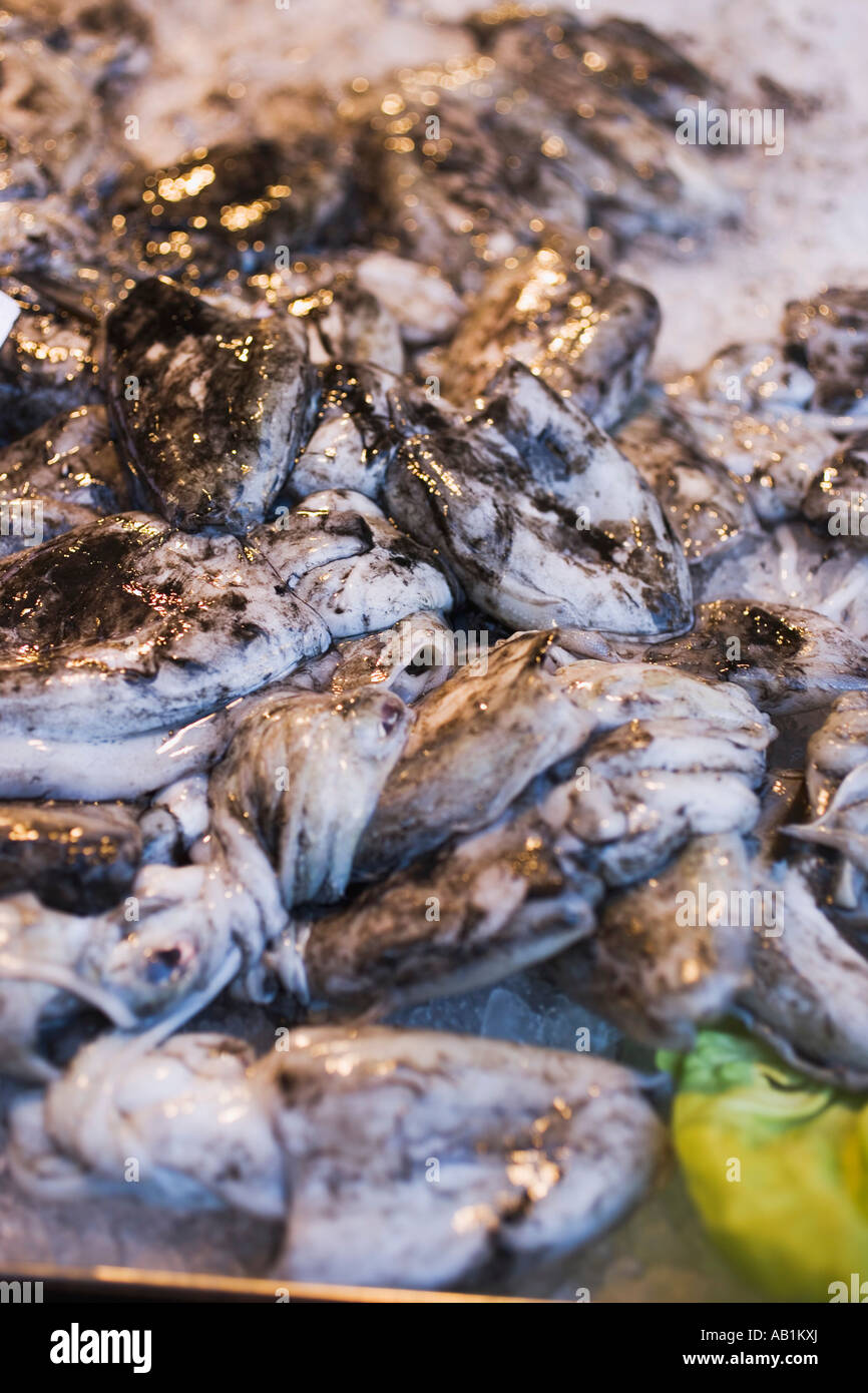 Fresh cuttlefish at a market FoodCollection Stock Photo - Alamy