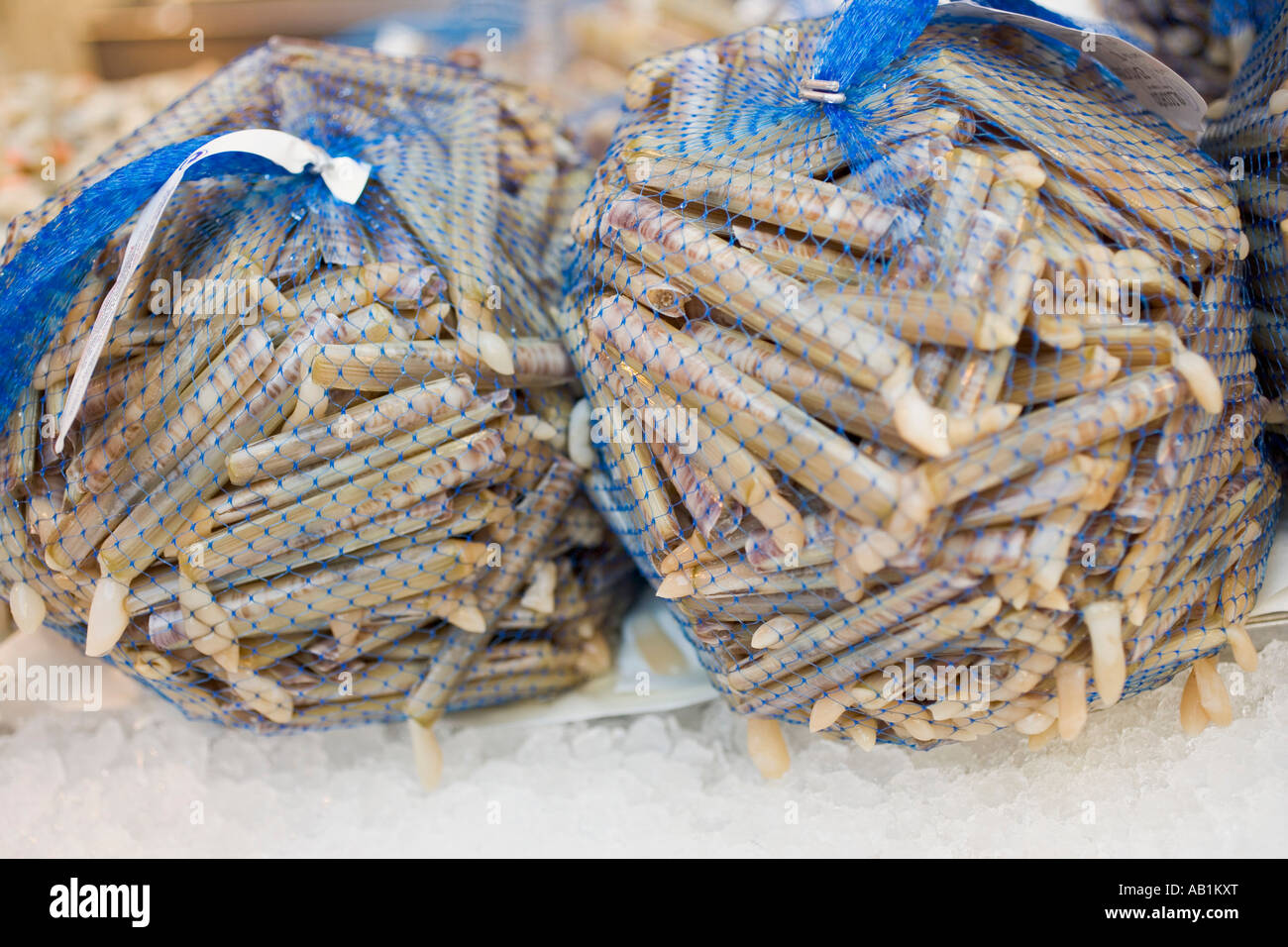 Razor clams in shell hi-res stock photography and images - Alamy