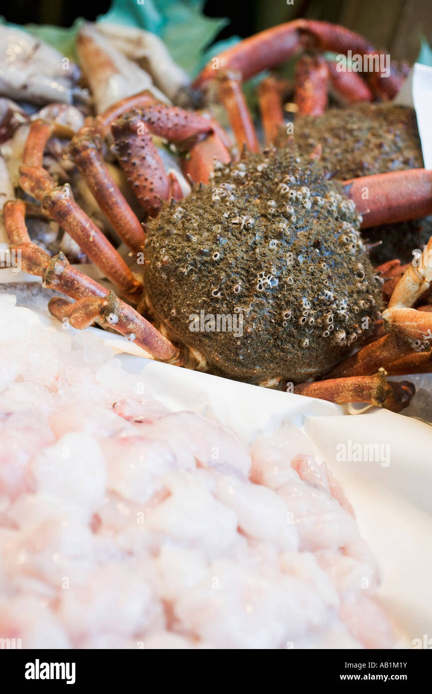 Fresh spider crabs on a market stall FoodCollection Stock Photo - Alamy