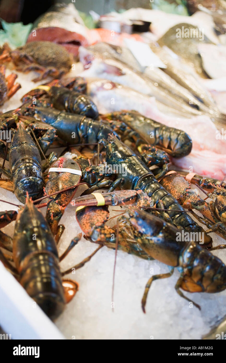 Fresh lobsters on a market stall FoodCollection Stock Photo - Alamy