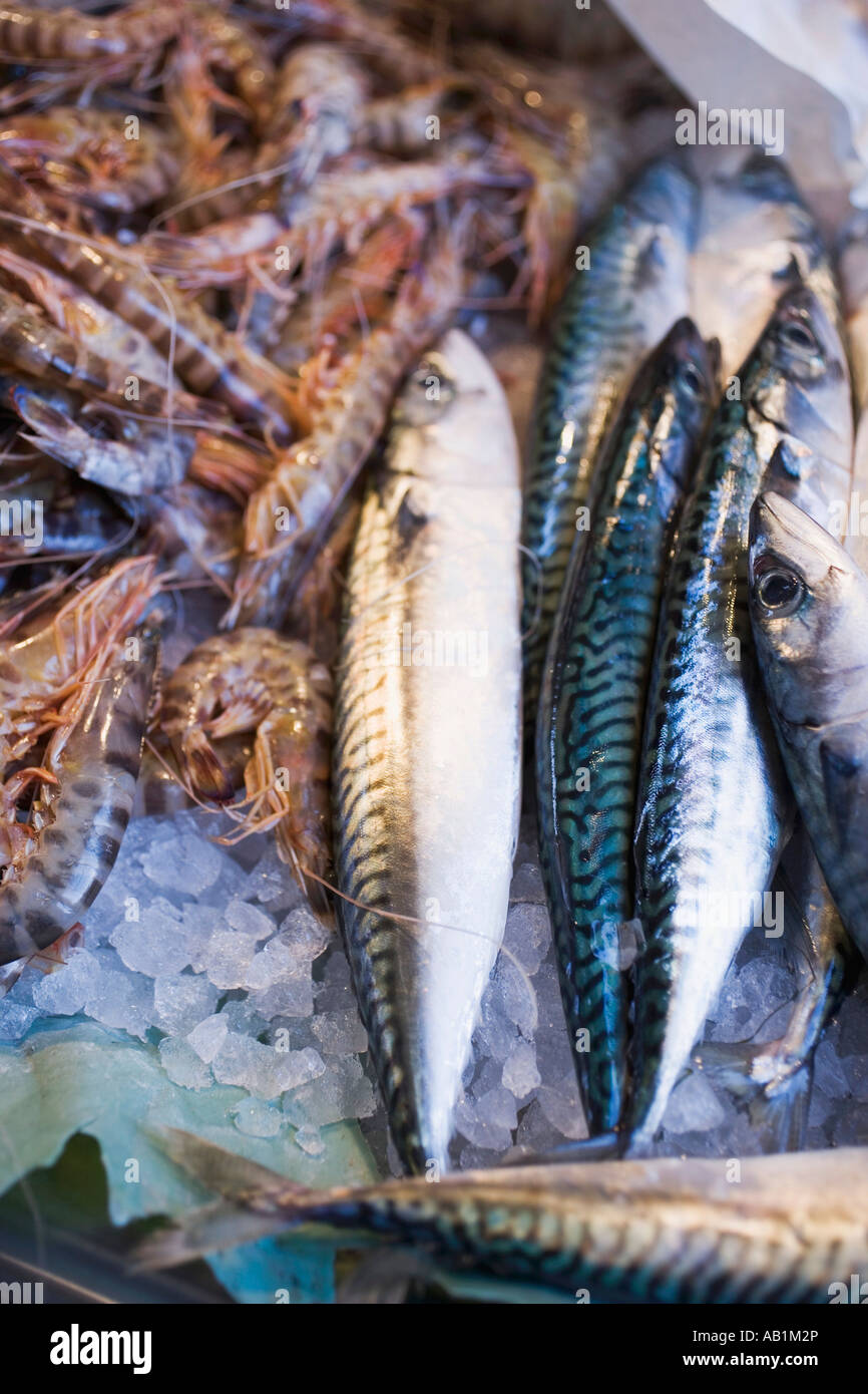 Mackerel and tiger prawns on ice FoodCollection Stock Photo - Alamy