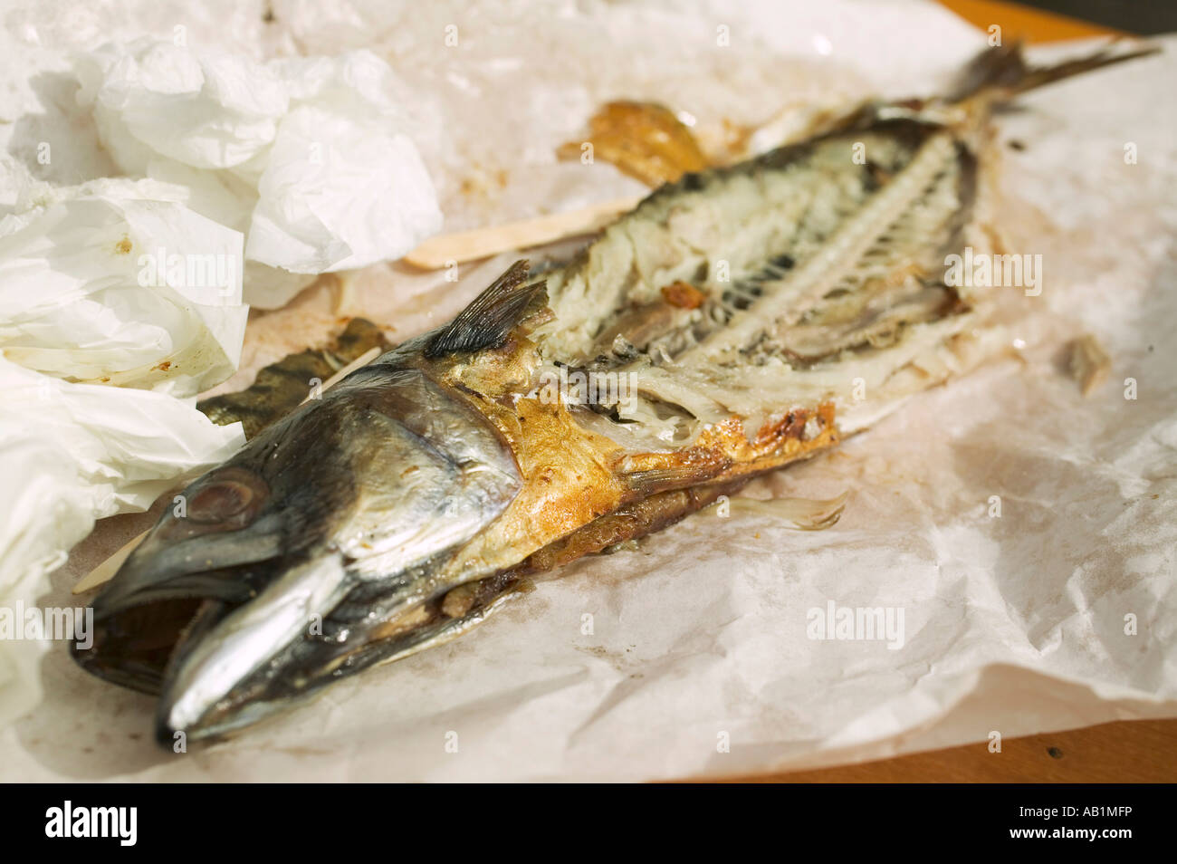 Remains of Steckerlfisch skewered fish on paper FoodCollection Stock ...