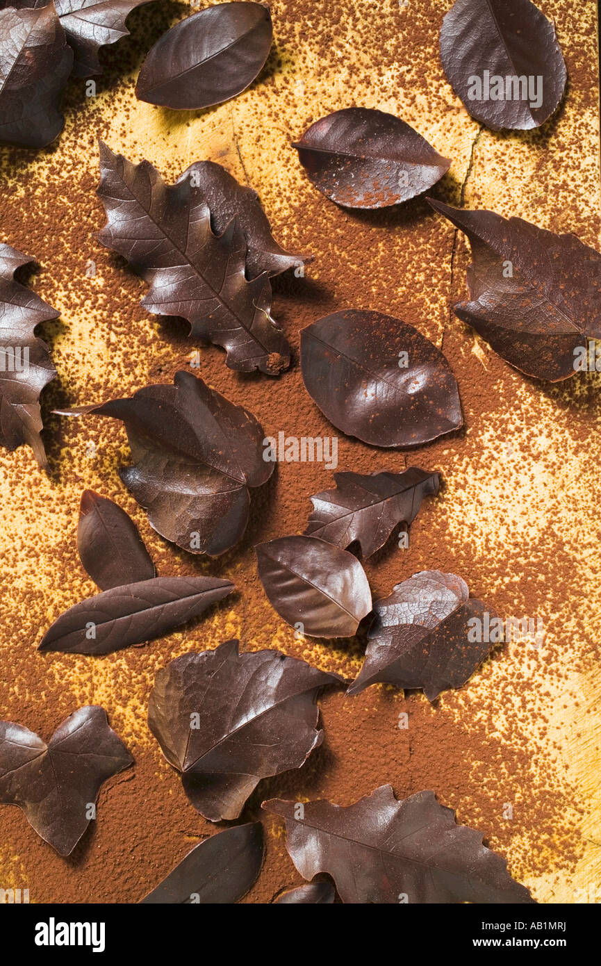 Several different chocolate leaves on cocoa powder overhead ...