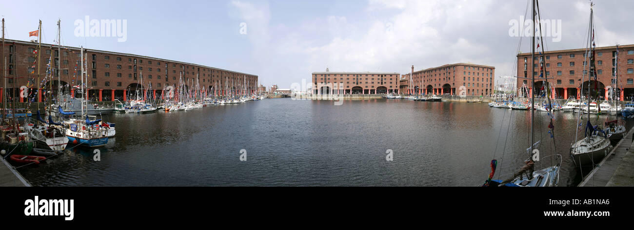 Albert Dock Liverpool panorama clock grey sky summer day cold horse ...