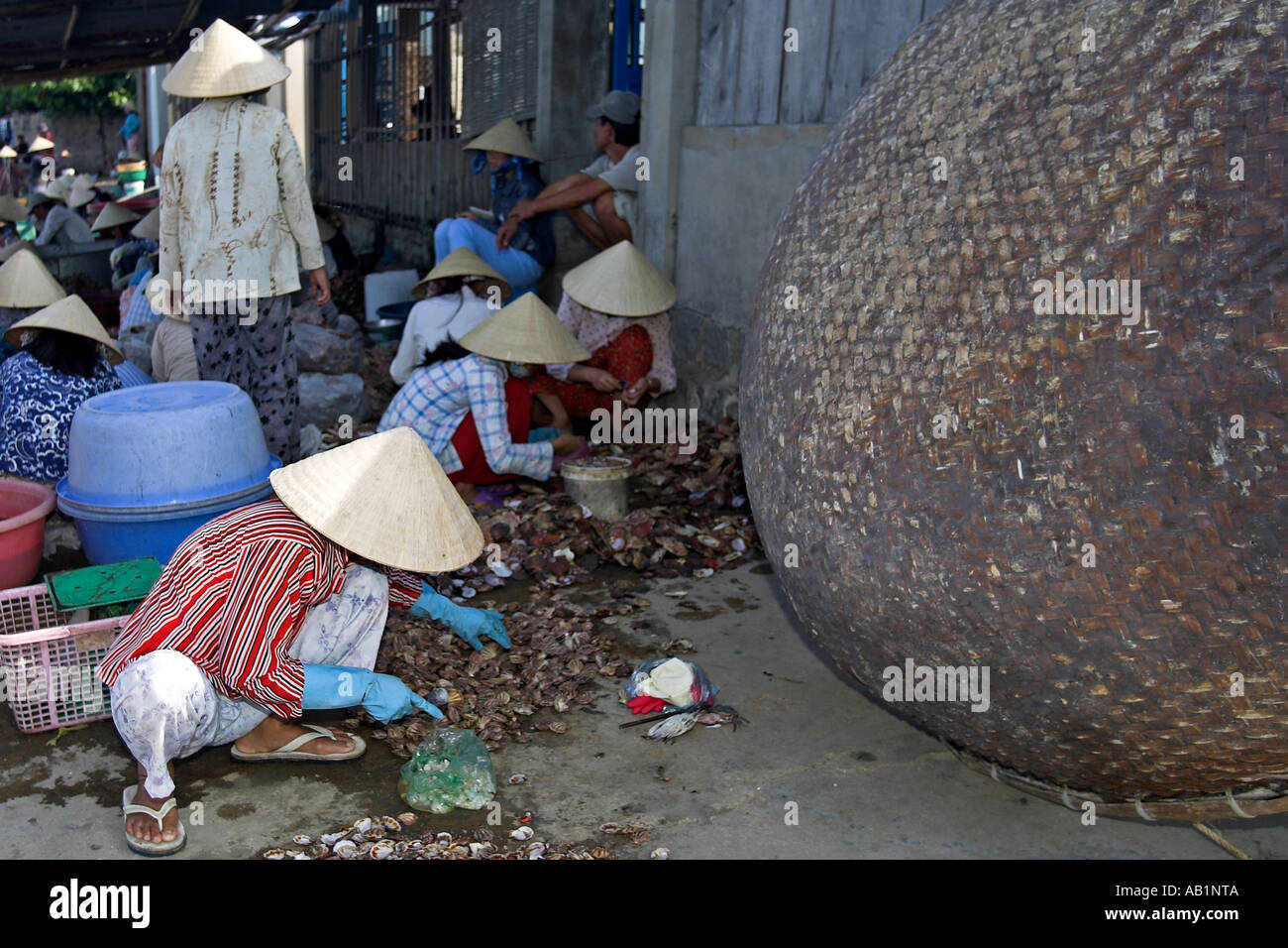 Vietnamese lady fishing hi-res stock photography and images - Alamy