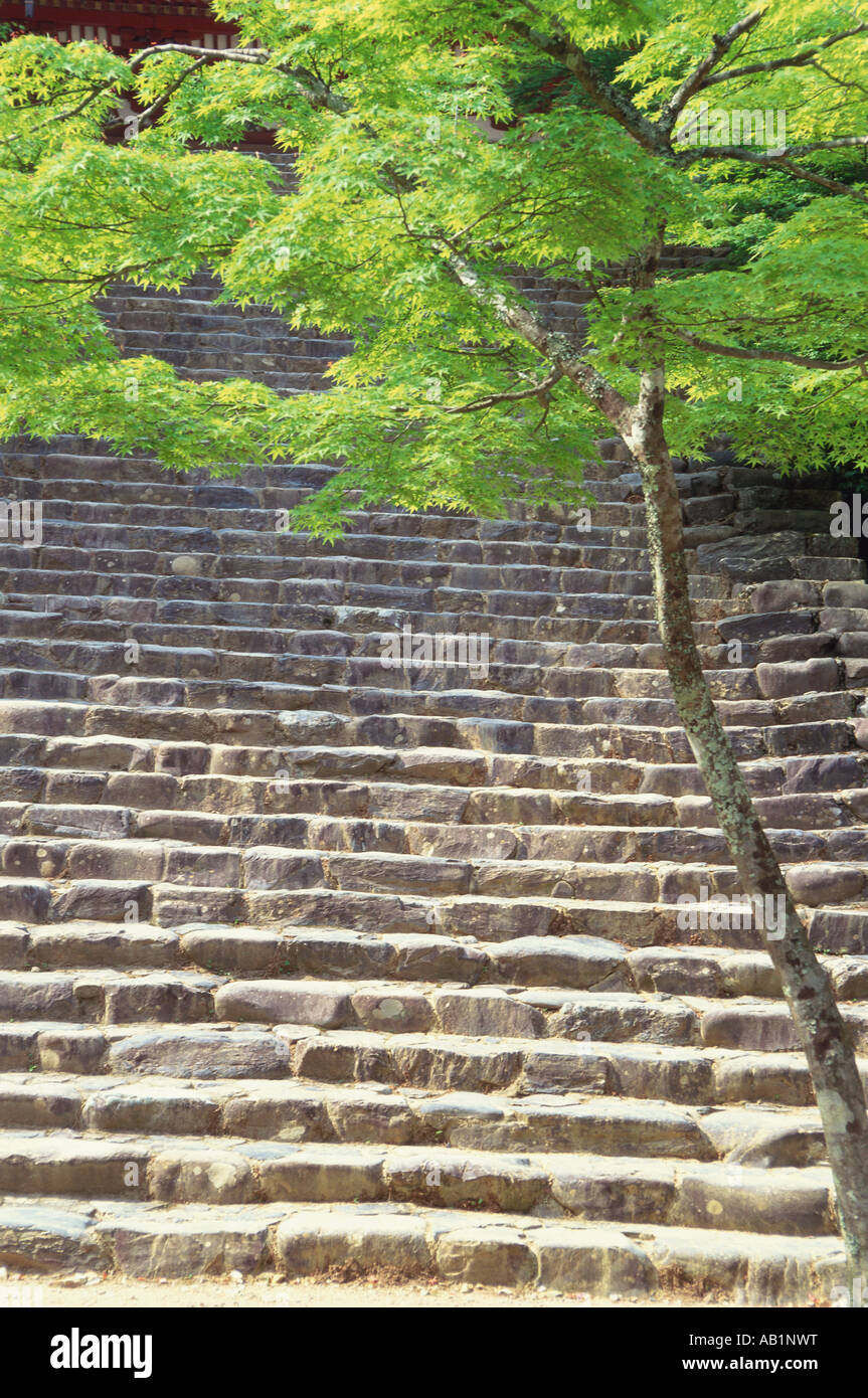 Jingo ji Temple Kyoto Prefecture Japan Stock Photo - Alamy