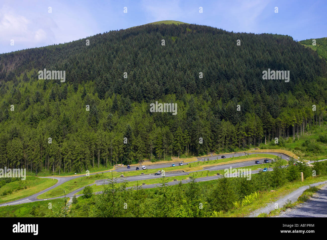 Rostrevor forest hi-res stock photography and images - Alamy