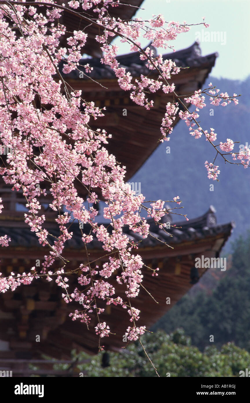 Daigo ji Temple Kyoto Prefecture Japan Stock Photo - Alamy
