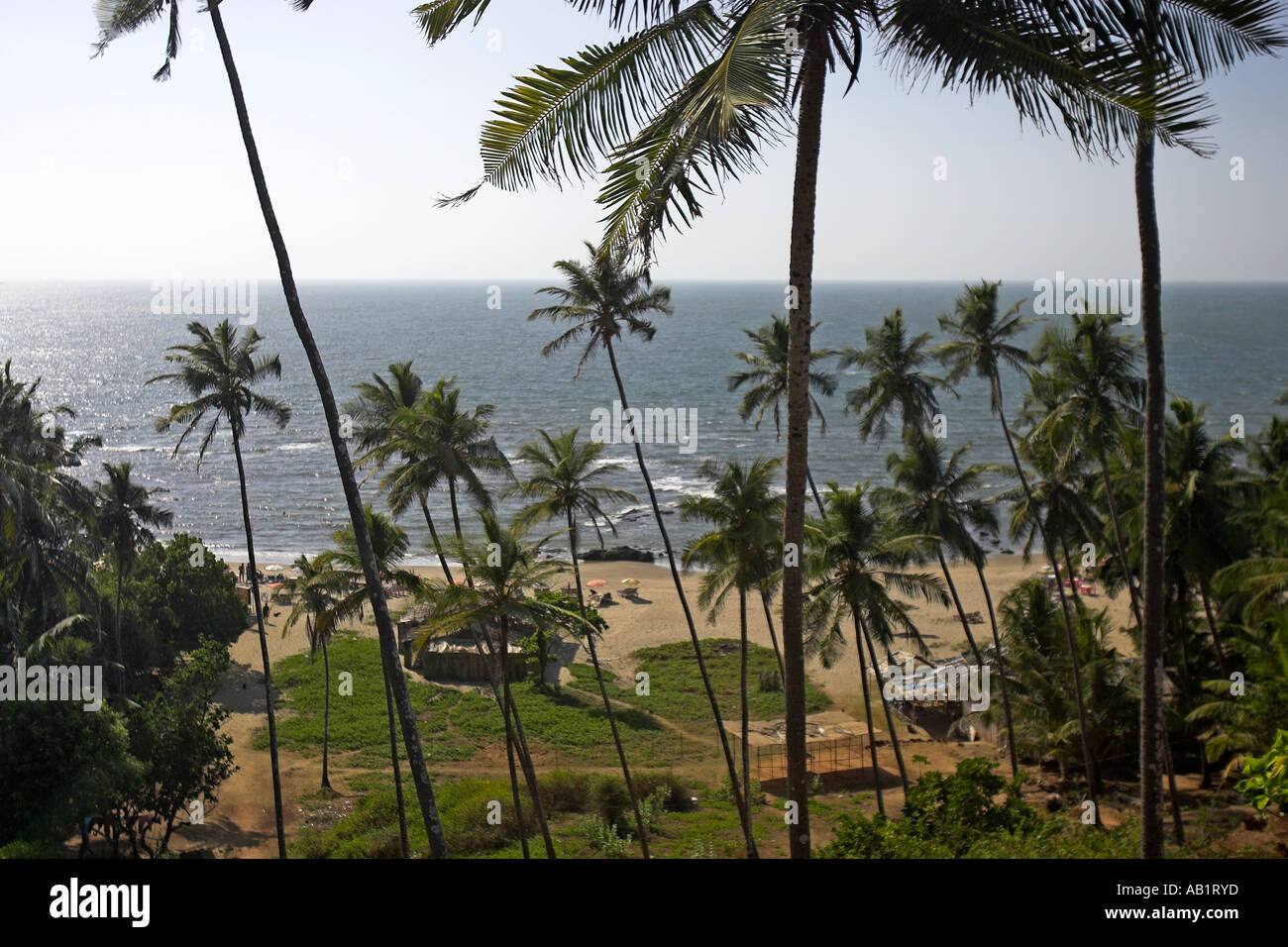 Ozran or Spaghetti Beach lies below hundreds of palm trees Vagator Goa ...