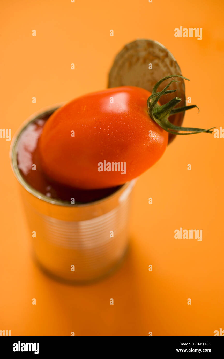 Fresh tomato on opened food tin FoodCollection Stock Photo - Alamy