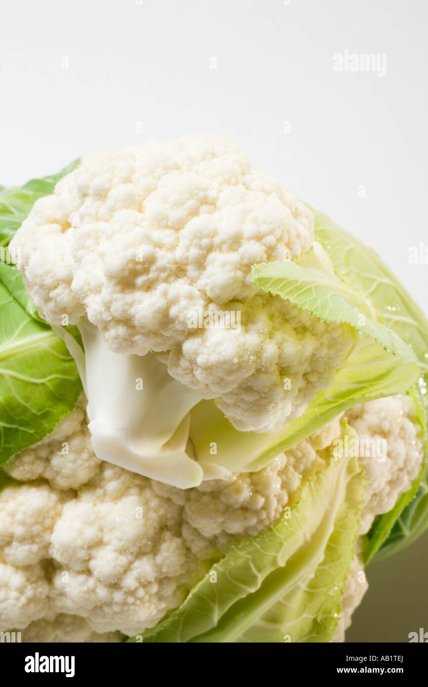 Cauliflower with cauliflower floret FoodCollection Stock Photo - Alamy