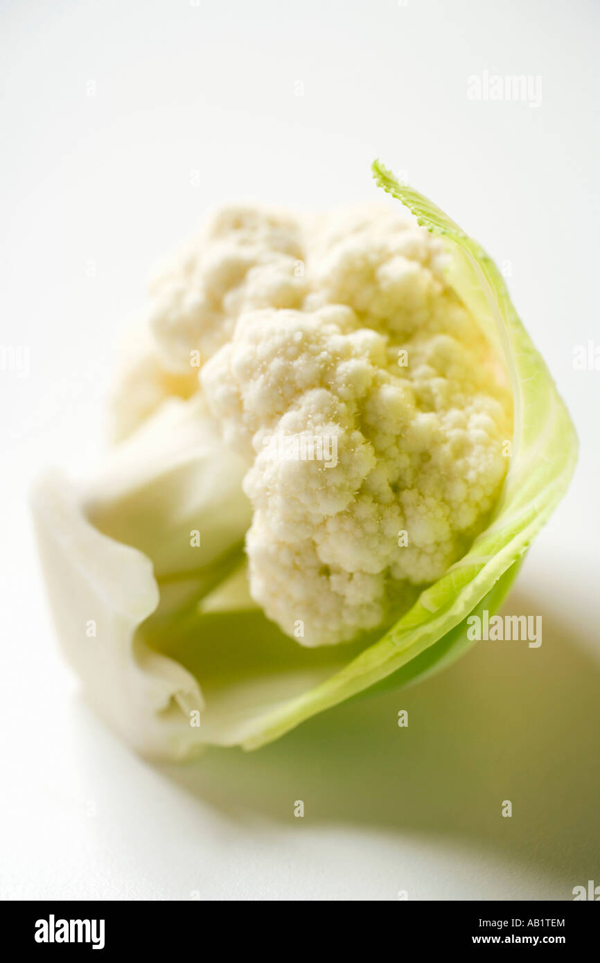 A cauliflower floret FoodCollection Stock Photo - Alamy