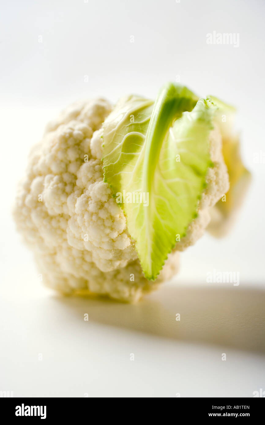 A cauliflower floret FoodCollection Stock Photo - Alamy
