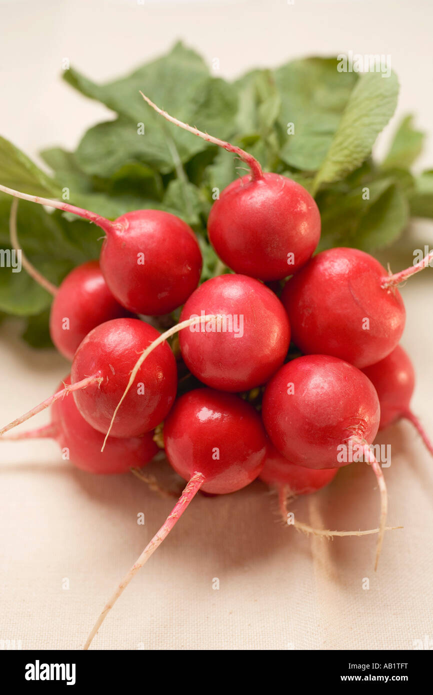 A bunch of radishes FoodCollection Stock Photo - Alamy
