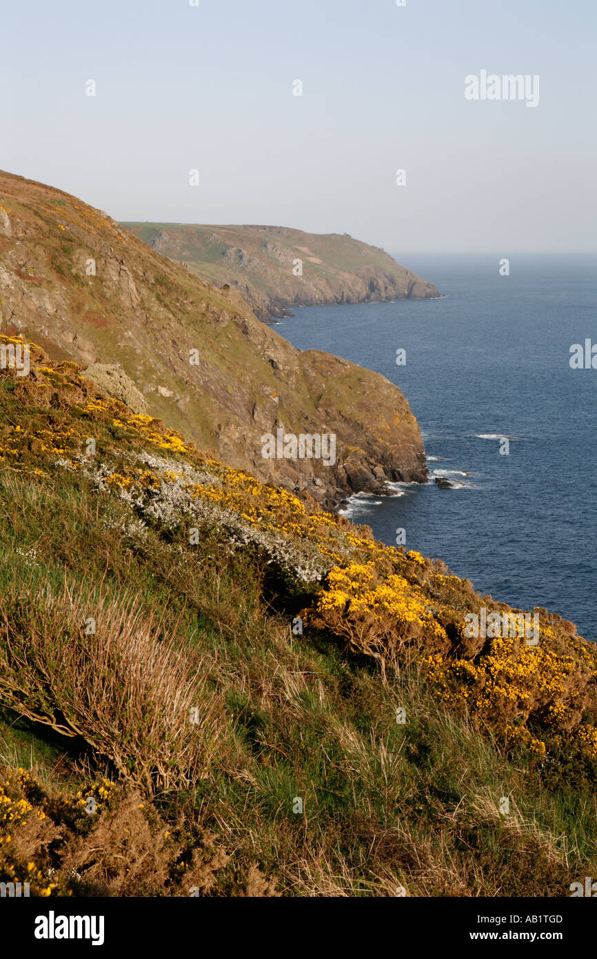 South Devon coast at Bolt Tail Stock Photo - Alamy