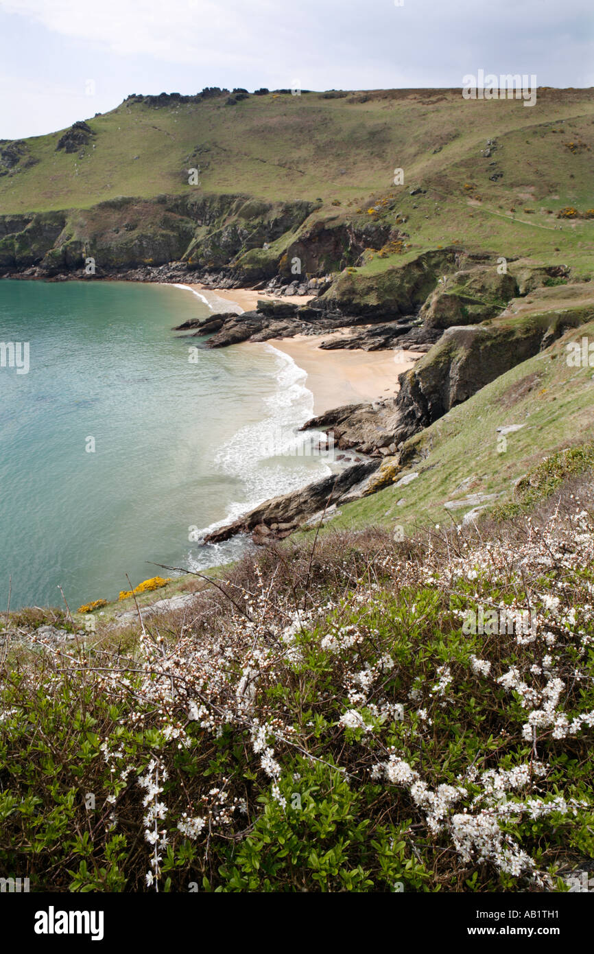 Off Cove on the South Devon Coast Stock Photo - Alamy
