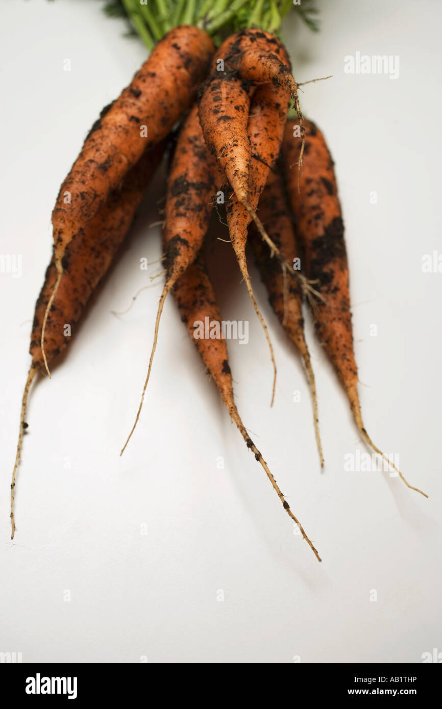 Fresh carrots with soil FoodCollection Stock Photo - Alamy
