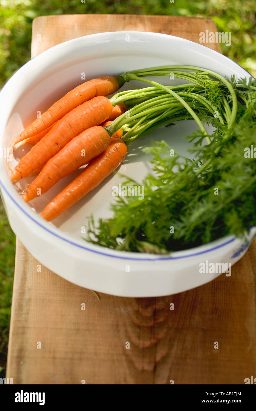 Fresh carrots with tops in white bowl FoodCollection Stock Photo - Alamy