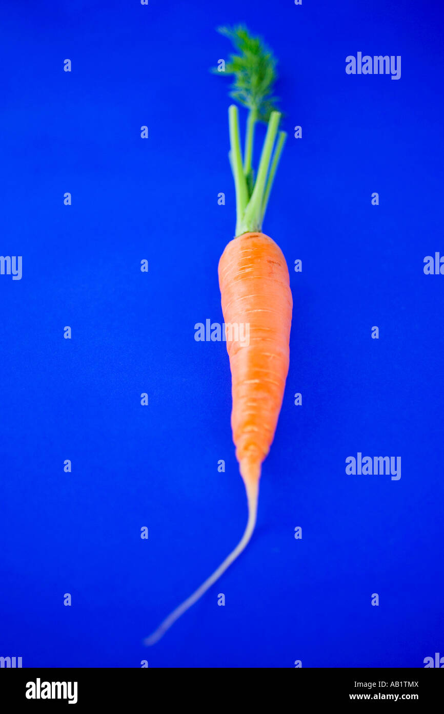 Fresh carrot on blue background FoodCollection Stock Photo - Alamy