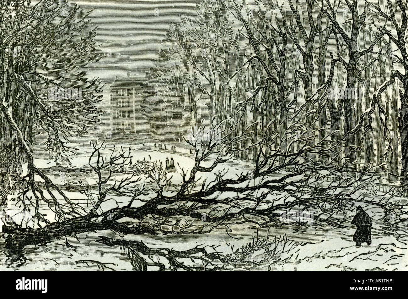 Kensington Gardens London 1887 Trees blown in Broad walk London Stock ...