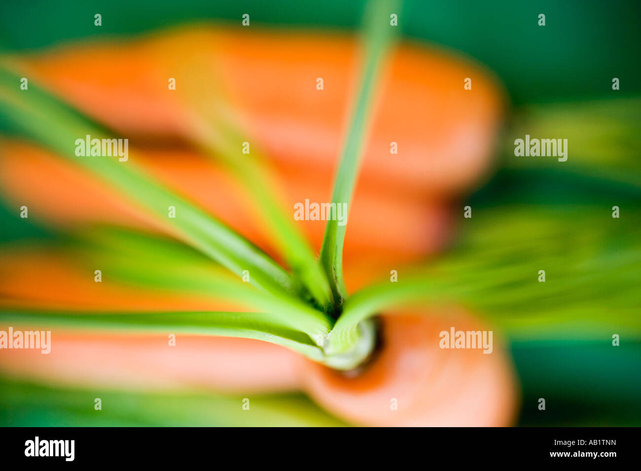 Fresh carrots on green background FoodCollection Stock Photo - Alamy
