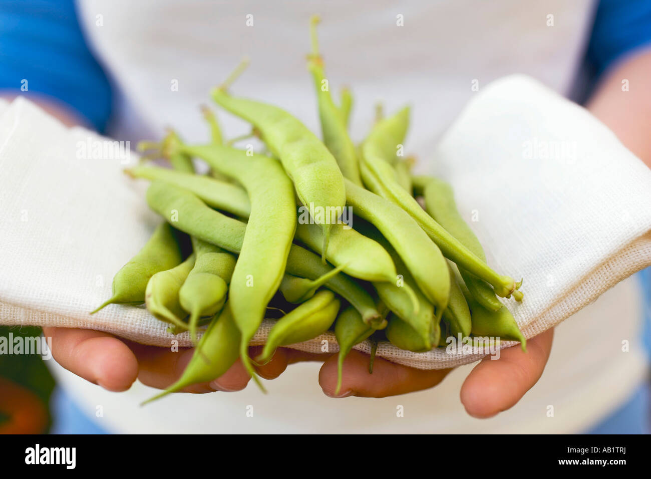 Hands holding green beans on linen cloth FoodCollection Stock Photo - Alamy