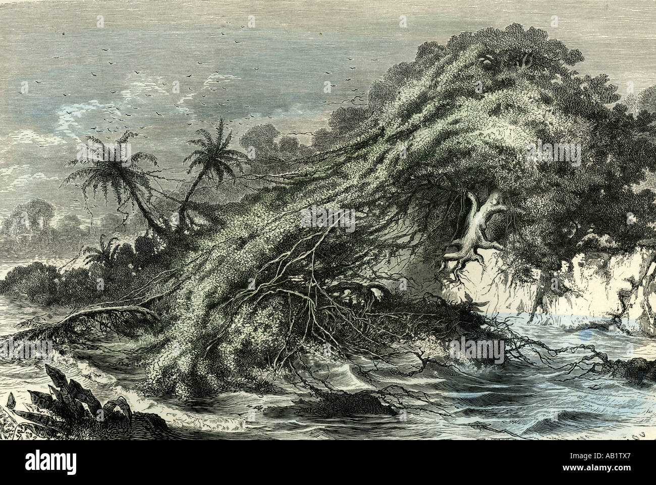 Ucayali perú hi-res stock photography and images - Alamy